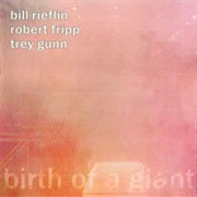 Bill Rieflin Discography