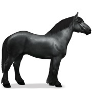 Percheron - Howrse Coats Trophy