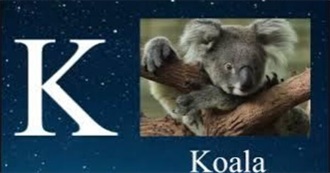 Geoffrey's Animal Alphabet V2