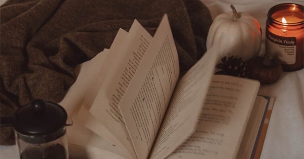 Fall Book Recommendations ('22)