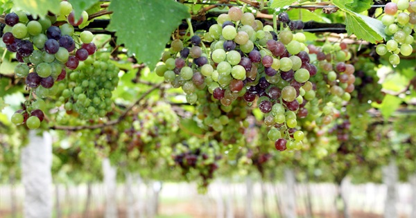 For the 86th Anniversary of John Ford's Grapes of Wrath: A Movie List!!!