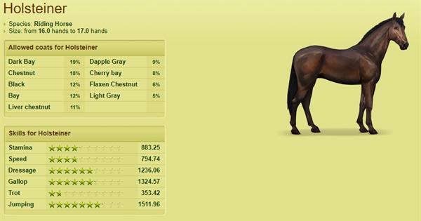 Holsteiner - Howrse Coats Trophy