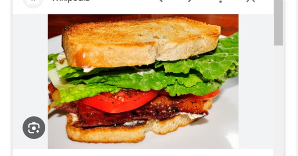 Big T's Food Eaten Today 630