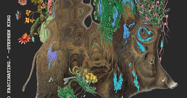 If You Liked: Annihilation